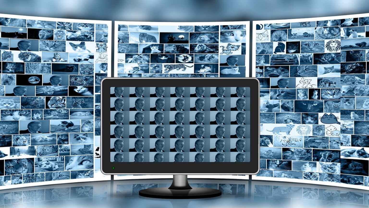 Who monitors human rights? - U.H.Rights